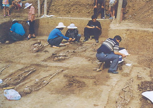 Jiahu Bone Flute of Wuyang