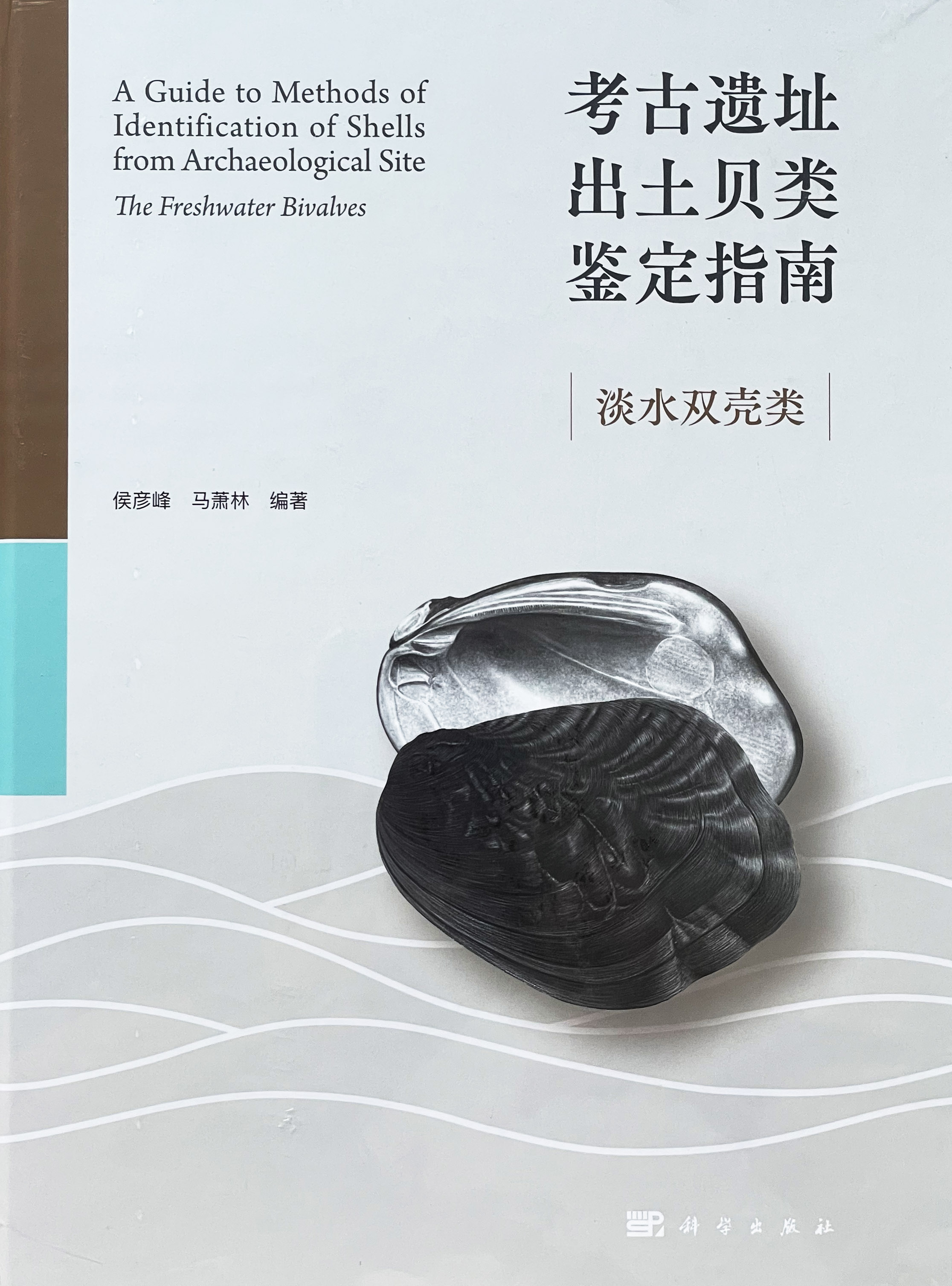 Authentication Guidance for the Unearthed Shellfish at Archaeological ...